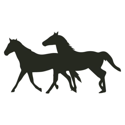 Expert Equine Care: Equine Veterinarian in Parker, CO | Dr. Tracey Hagen